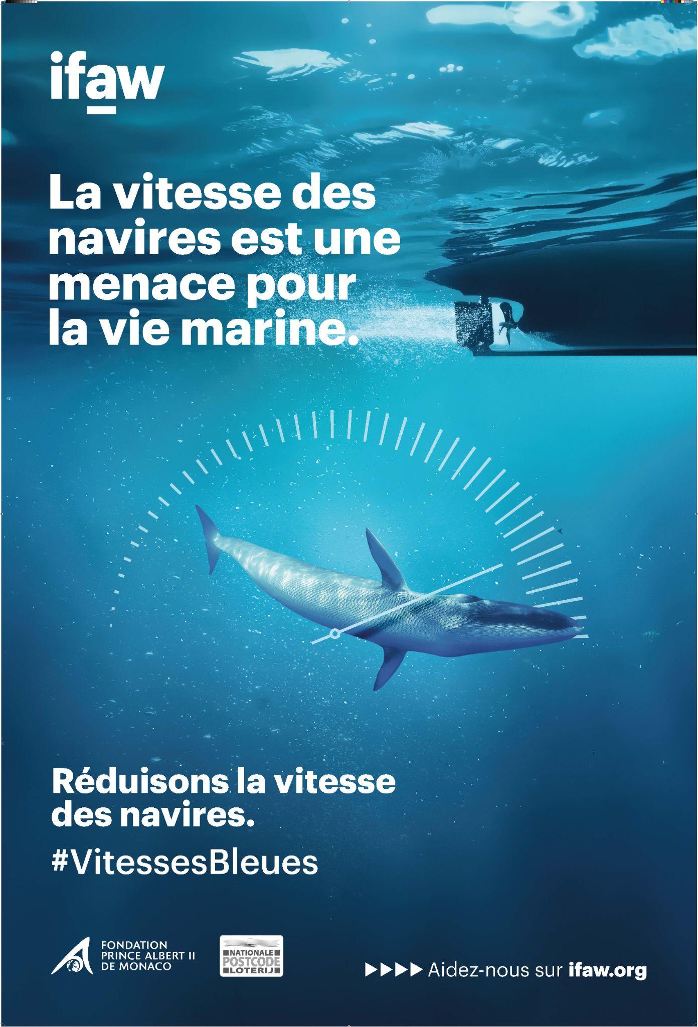 IFAW, JCDecaux