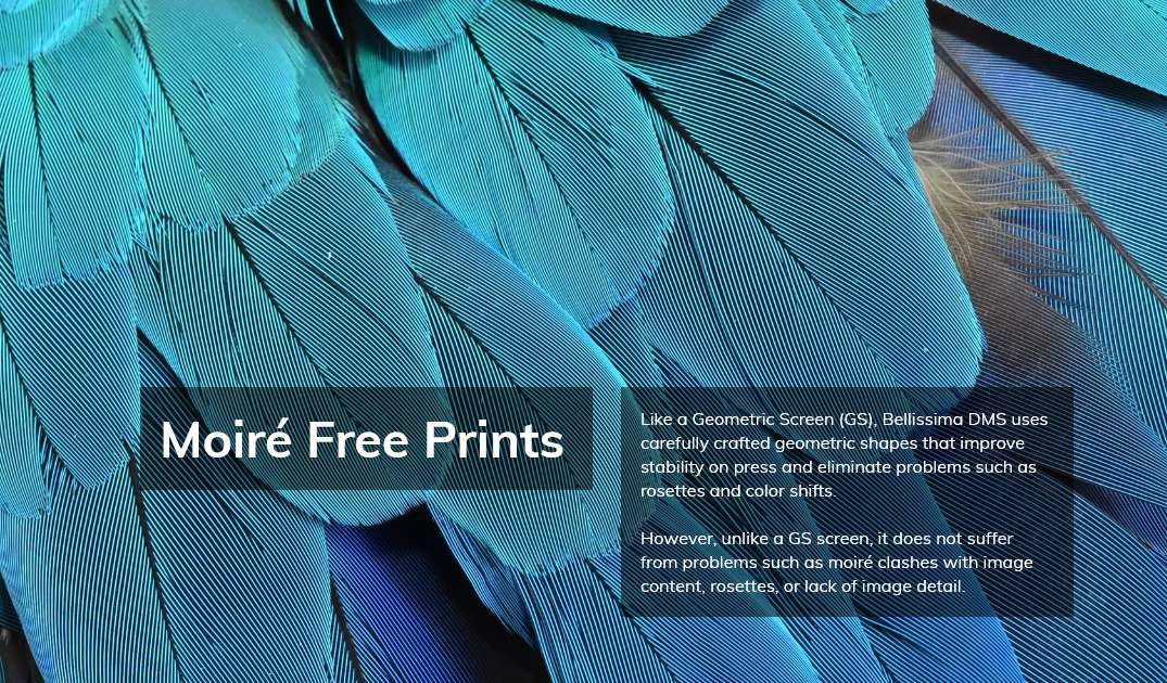 Parkside adopte l'Ultra HD Flexo